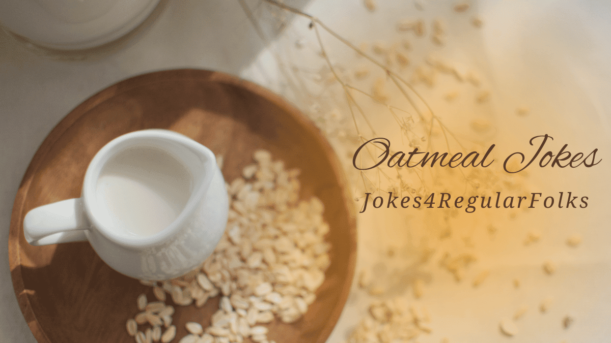 2024 Newest Oat-standing Jokes | OUR JOKES ARE BETTER
