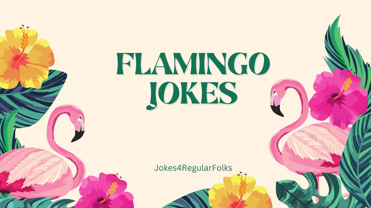 Flamingo Jokes on One Foot | OUR JOKES ARE BETTER