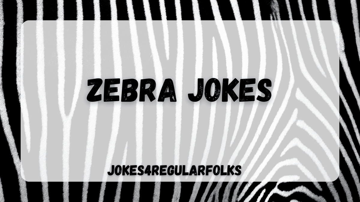 What's Black White and Red All Over? Zebra Jokes! | OUR JOKES ARE BETTER