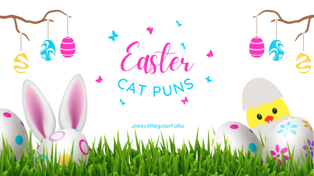 Jokes 4 Regular Folks | OUR JOKES ARE BETTER