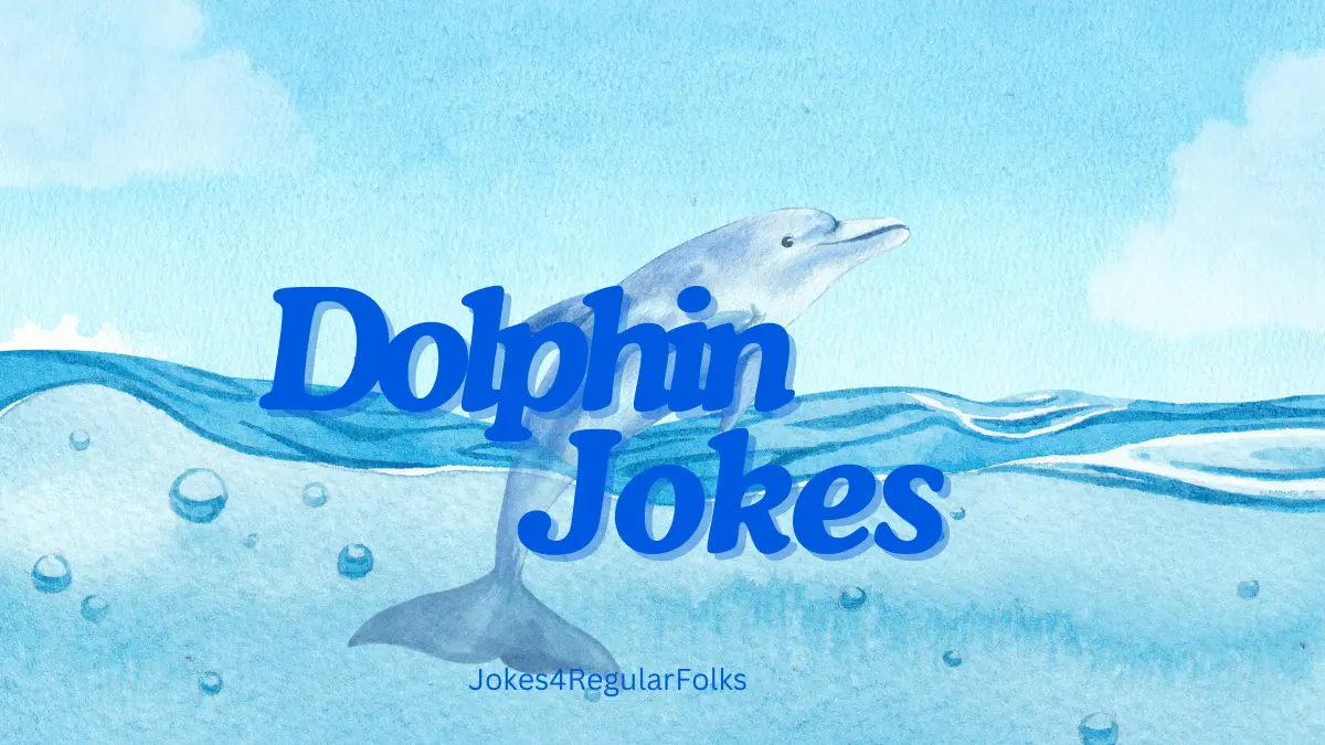 Cute Dolphin Jokes | OUR JOKES ARE BETTER